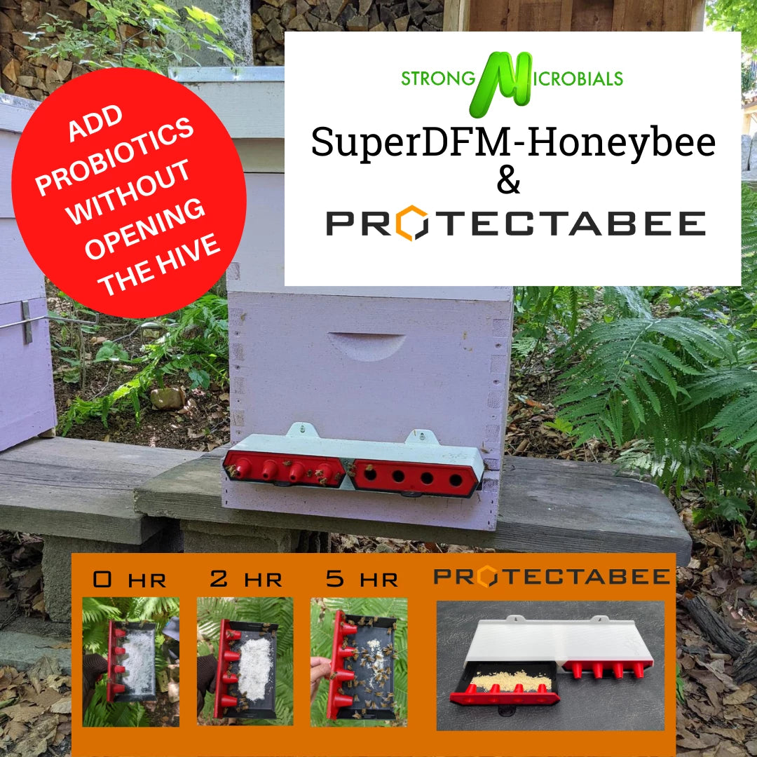 Super-DFM Probiotics – Best for Bees