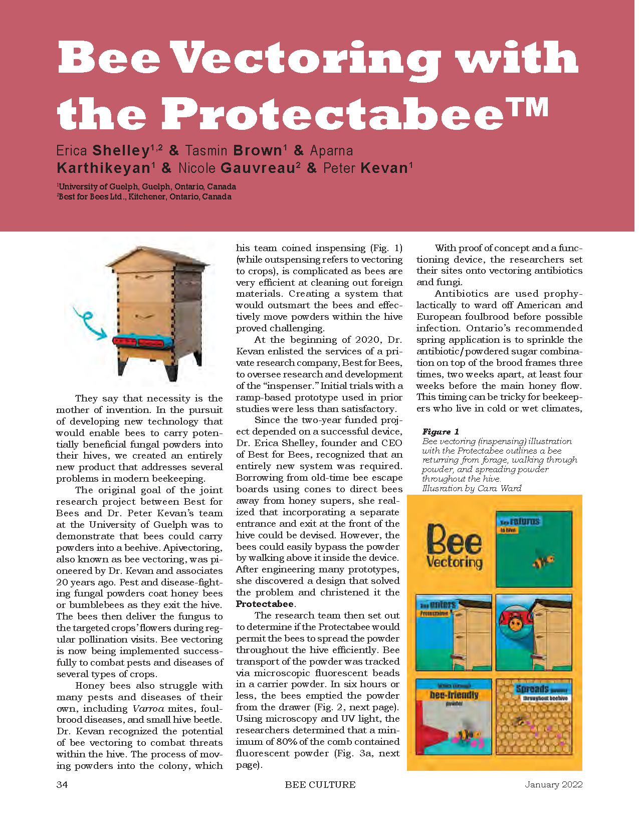 ProtectaBEE: An All-In-One Adjustable Hive Entrance – Best for Bees
