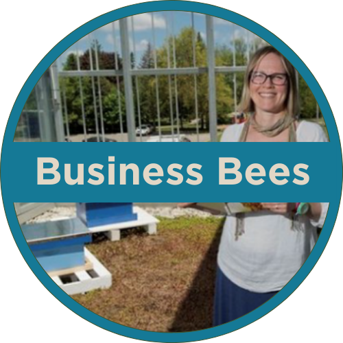 Business Bees – Best for Bees