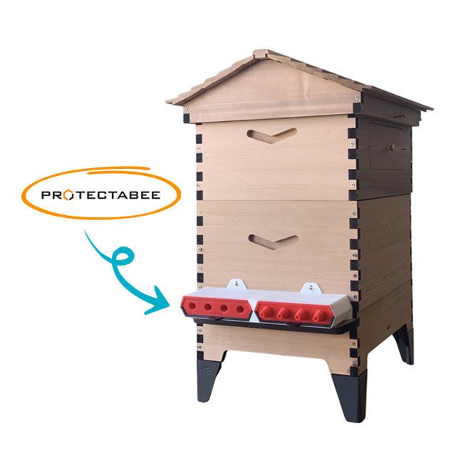 Best for Bees - The solution to improve bee health