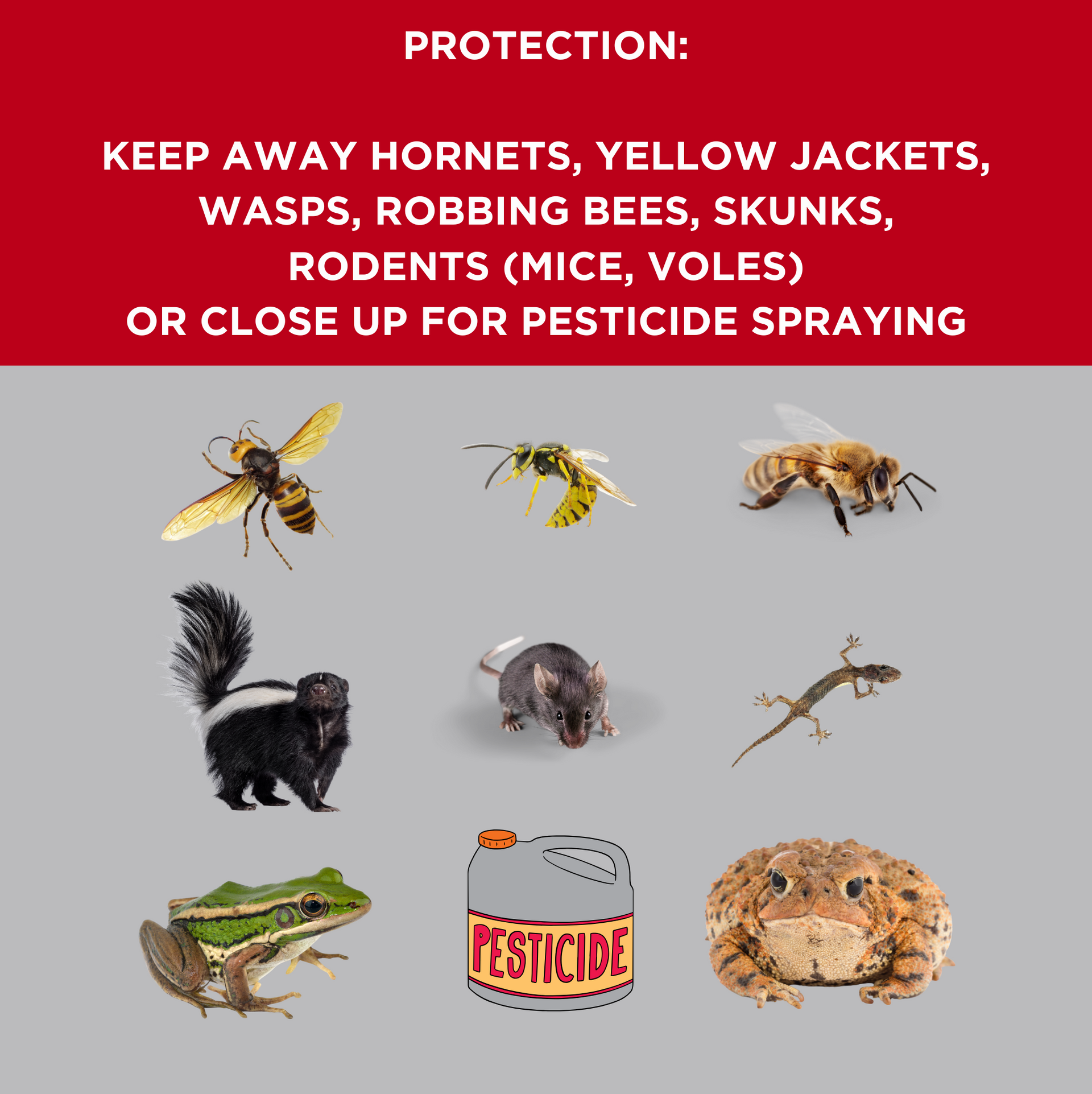 ProtectaBEE - The All-In-One Hive Entrance – Best for Bees