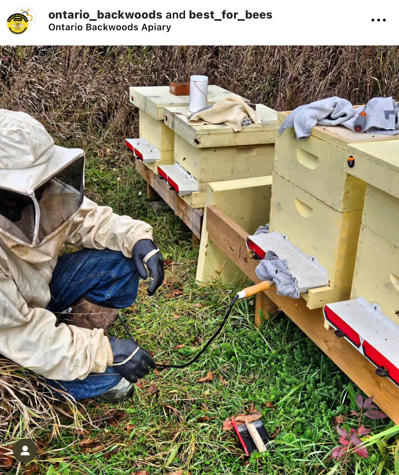 ProtectaBEE - The All-In-One Hive Entrance – Best for Bees