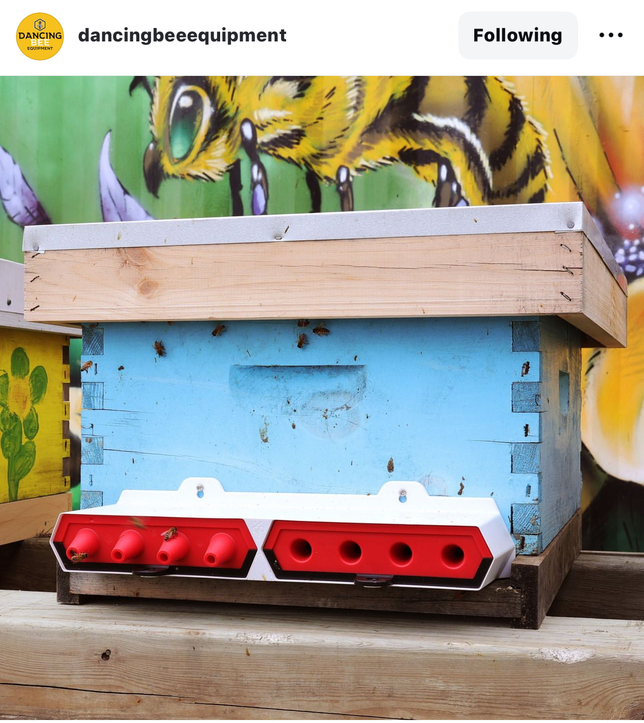 ProtectaBEE - The All-In-One Hive Entrance – Best for Bees