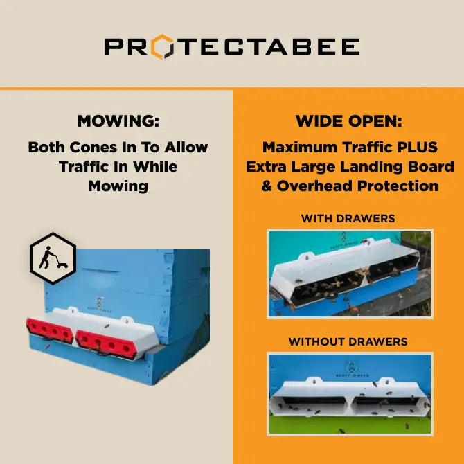 ProtectaBEE - The All-In-One Hive Entrance – Best for Bees